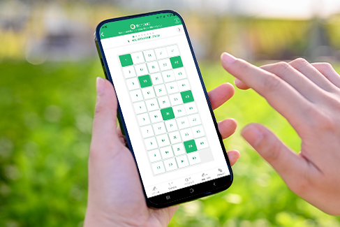 Qué es y Cómo funciona la Bonoloto | TuLotero