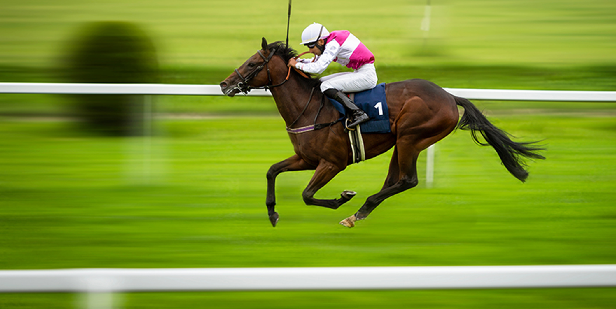 Lototurf - El Sorteo de Lototurf en TuLotero